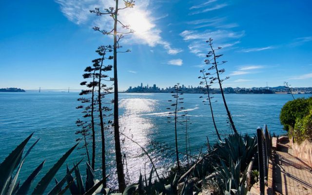 Winter On Alcatraz | Alcatraz Island Winter Time Fun