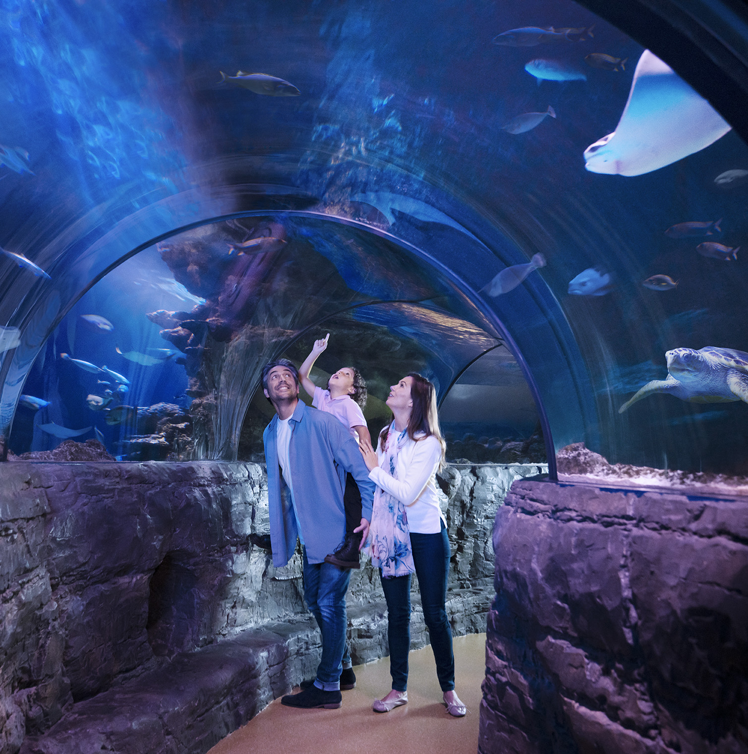 London: Sea Life Aquarium + River Cruise Combo Ticket - City Experiences™