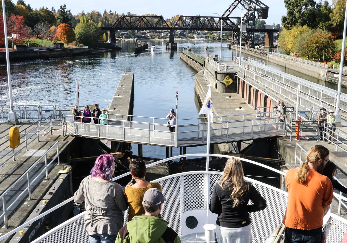 Seattle: Locks Cruise - City Experiences™