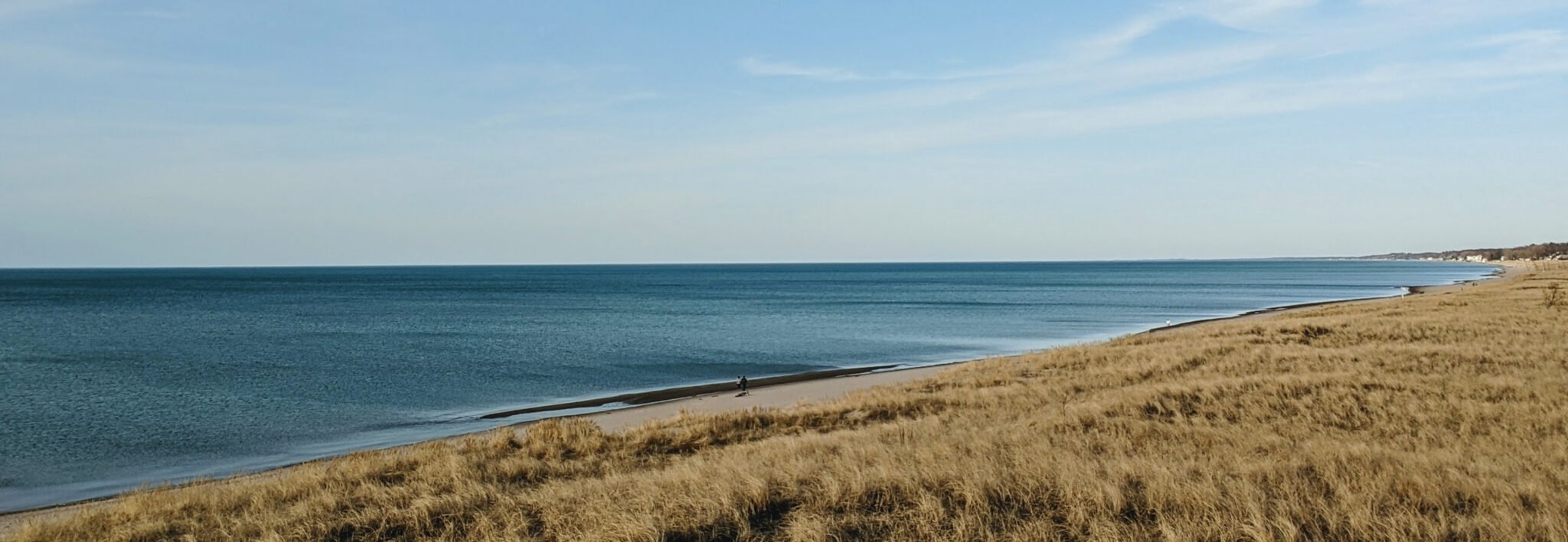 The Surprising Sea Life of Lake Michigan - City Cruises™