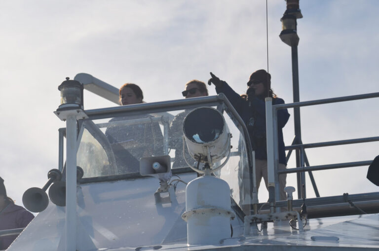 Boston Balina İzleme Doğa Bilimcisi Laura Howes'u Tanıyın - City ...