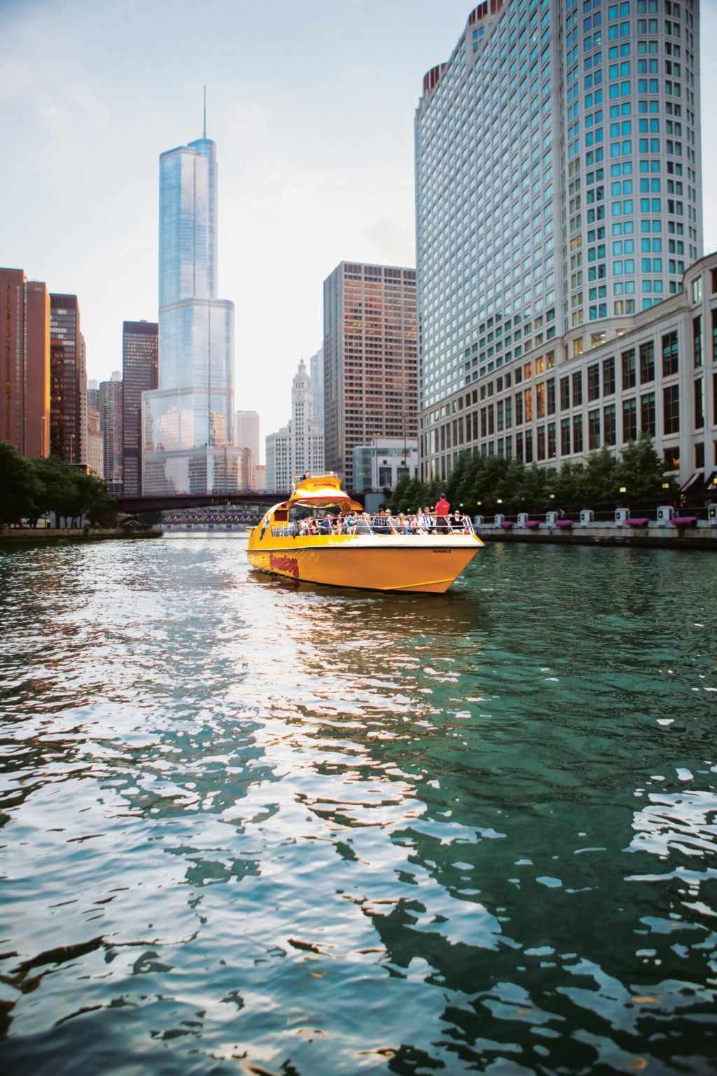 Navy Pier History: Centennial Wheel and Chicago’s Architecture | City ...