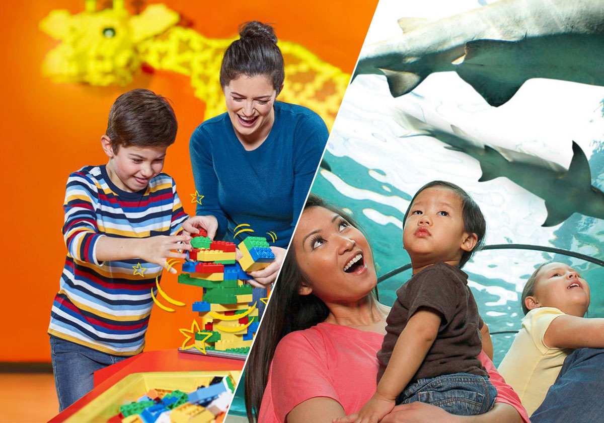 Legoland Discovery Center & SEA LIFE Aquarium Combo | City Experiences