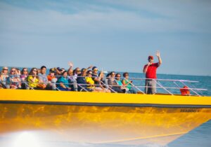 Seadog Cruises in Chicago - Exciting Speedboat Tours with City Cruises