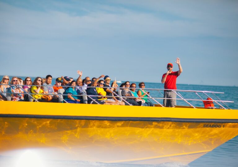 Seadog Cruises in Chicago - Exciting Speedboat Tours with City Cruises