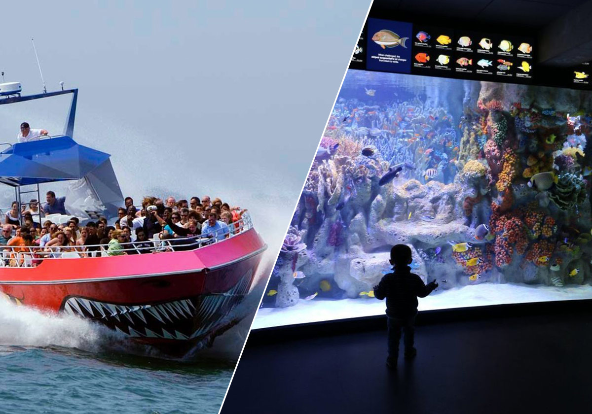 Codzilla & New England Aquarium 門票 |城市體驗 ™ - 城市體驗 ™ |城市體驗